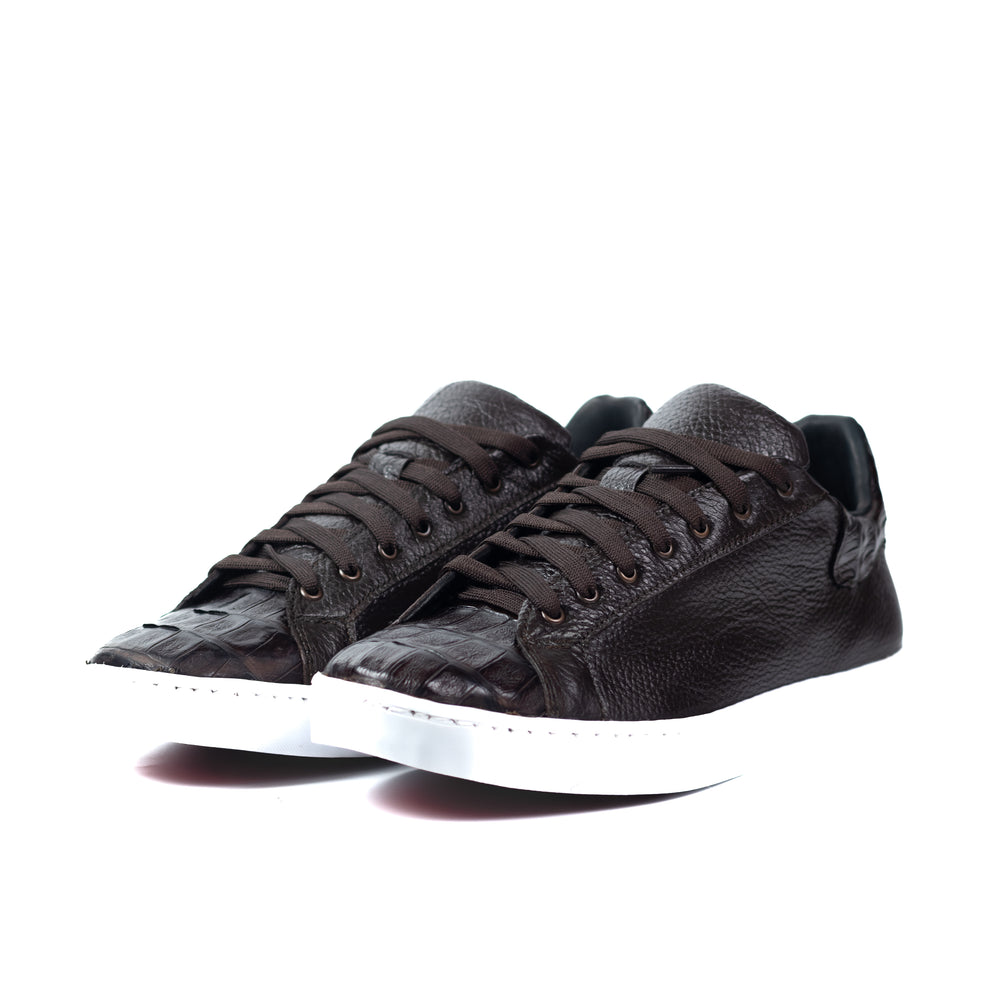 Tenis Caiman Café – StingrayMx
